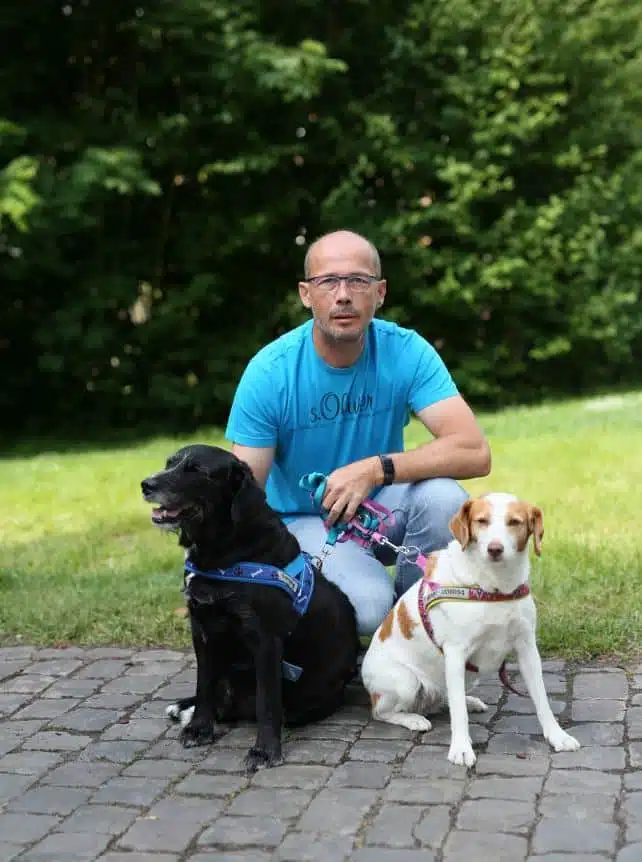 Die Top 10 der Hundeschulen 2018 » DER HUND