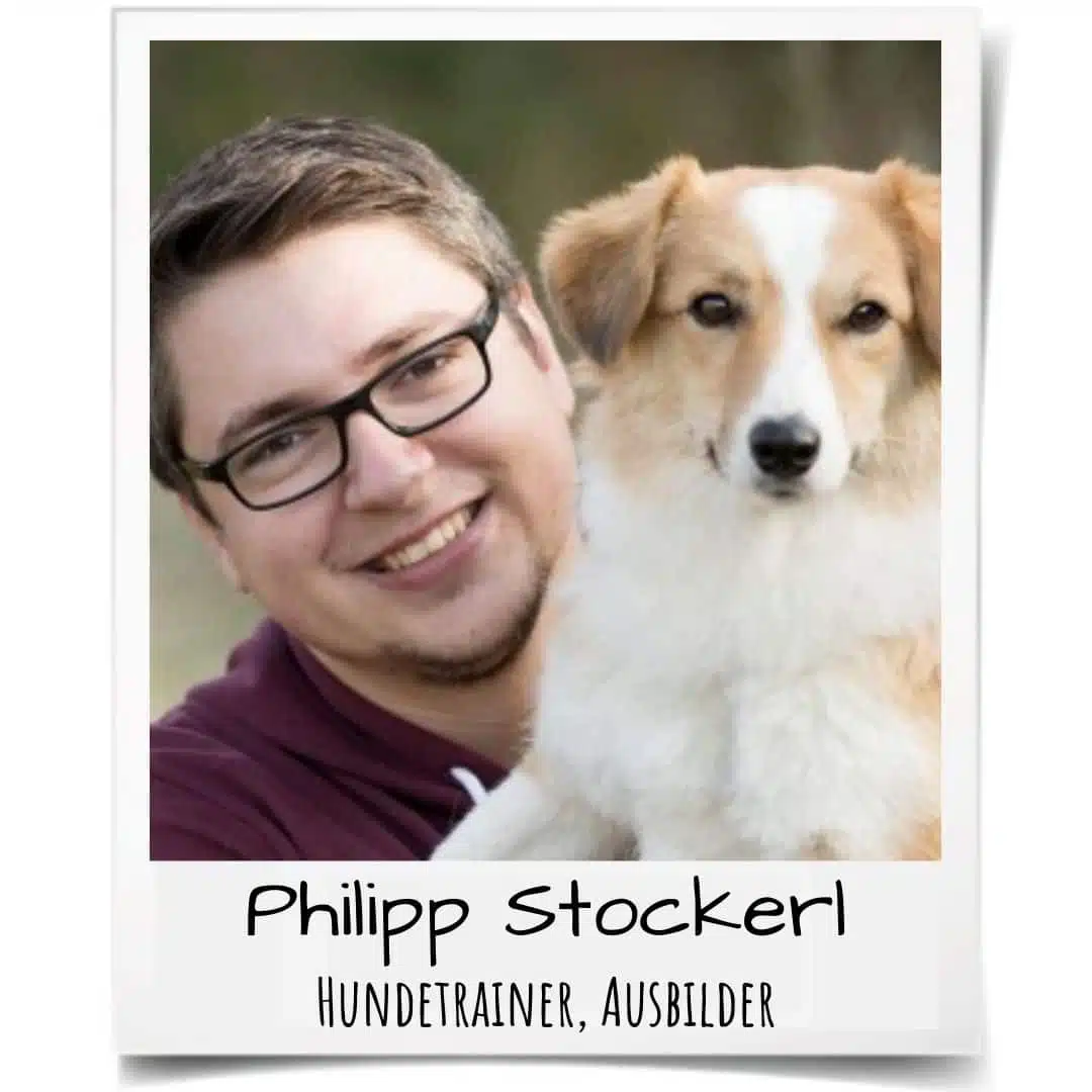 Online Trainingstage 2021