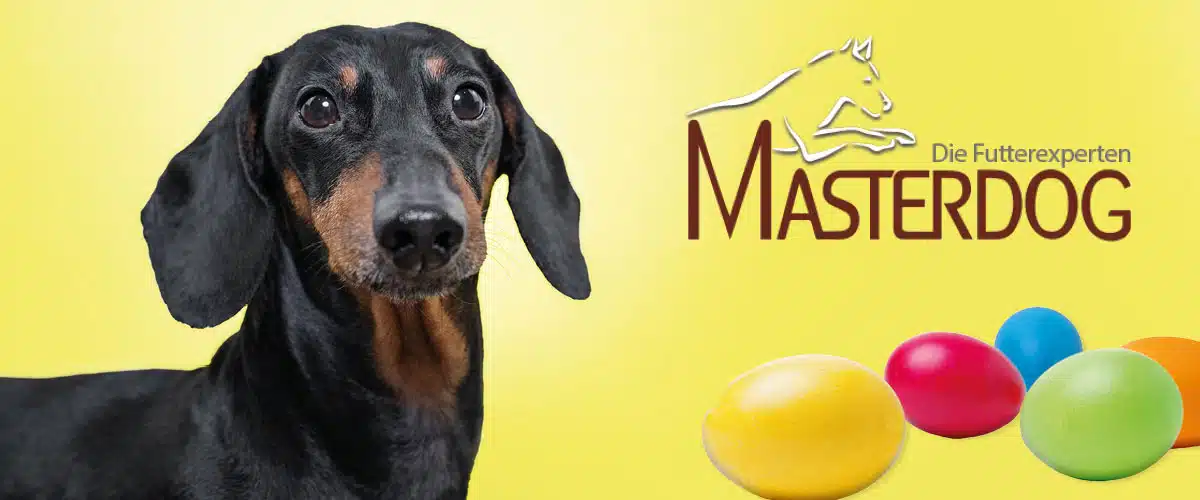 Osterschnüffeln 2024 🥚 Masterdog-Paket