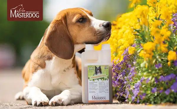 Osterschnüffeln 2024 🥚 Masterdog-Paket